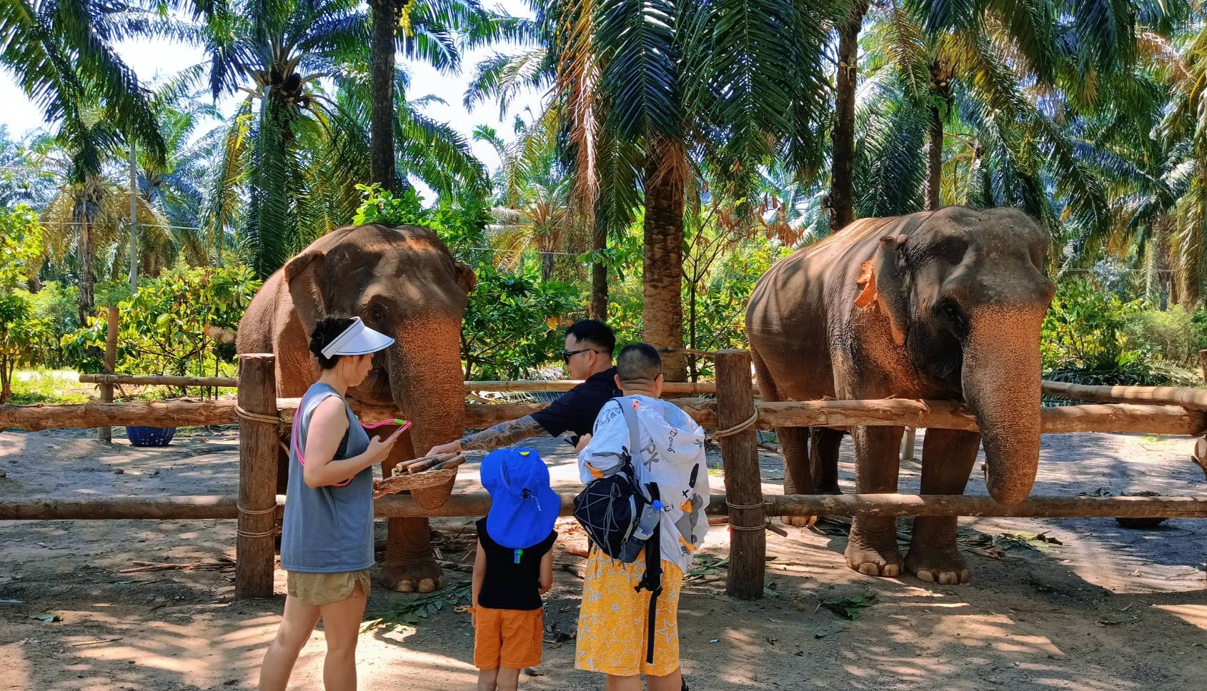 Srimala Elephant Camp in Krabi, Thailand