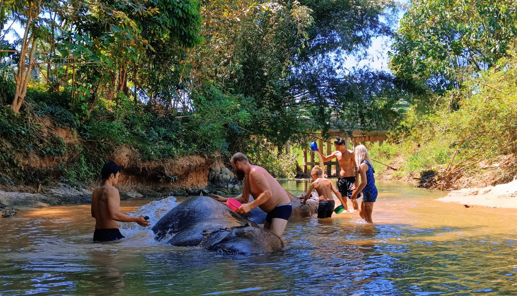 Celebrate Songkran in Krabi and Visit Srimala Elephant Camp