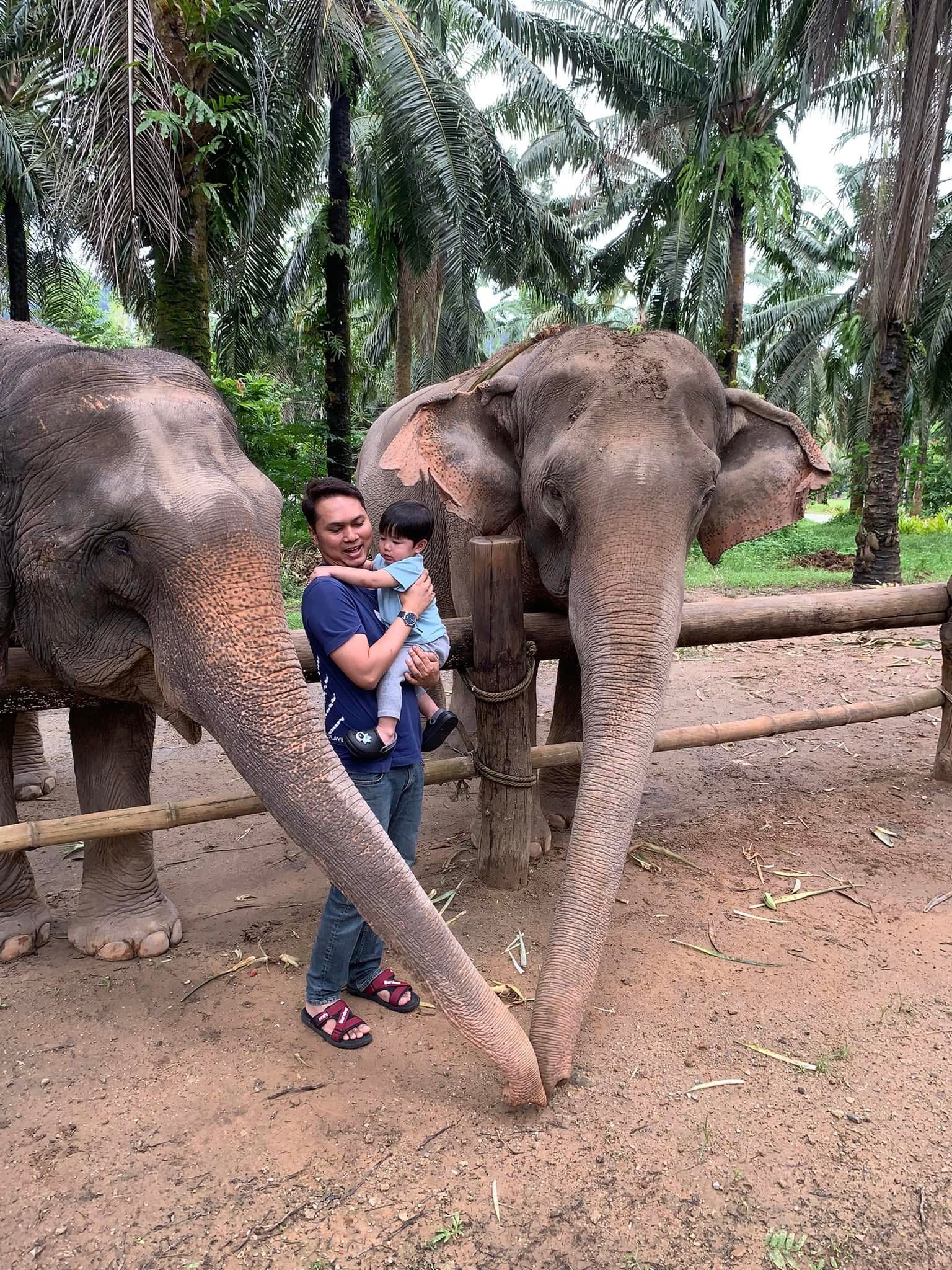 Experience Real Elephants Up Close at Srimala Elephant Camp
